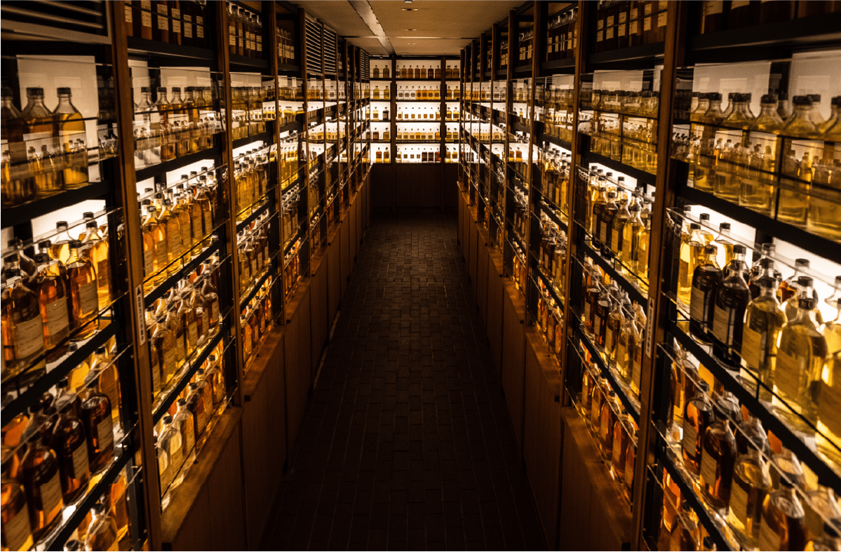 Catalyst ERP | Certified NetSuite Consultants