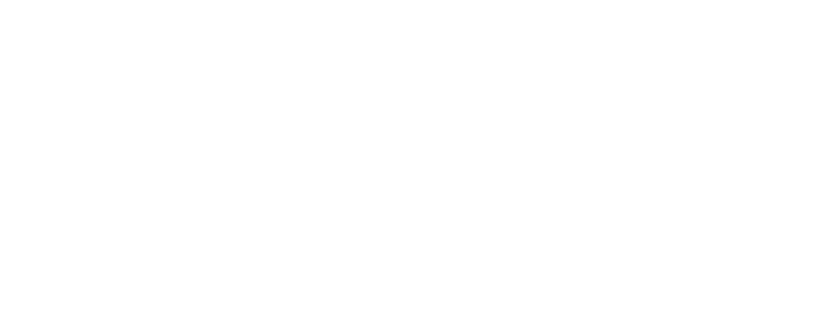 NetSuite Managed Support | Catalyst ERP