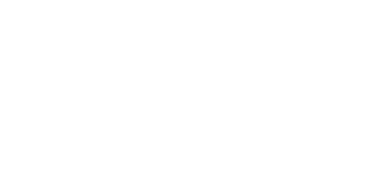 NetSuite Managed Support | Catalyst ERP