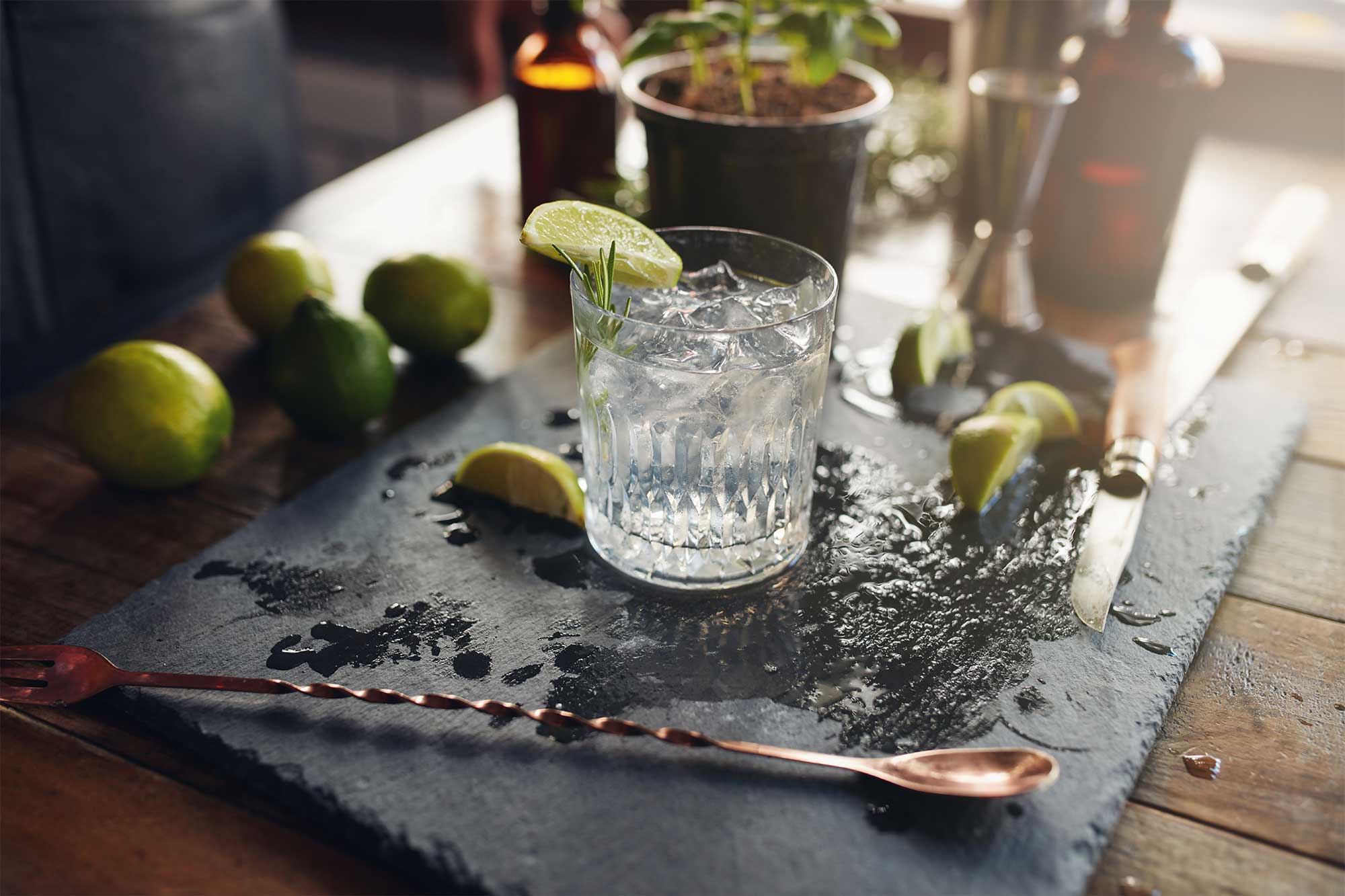 Catalyst Bottle ERP helps automate Warners gin distillation processes